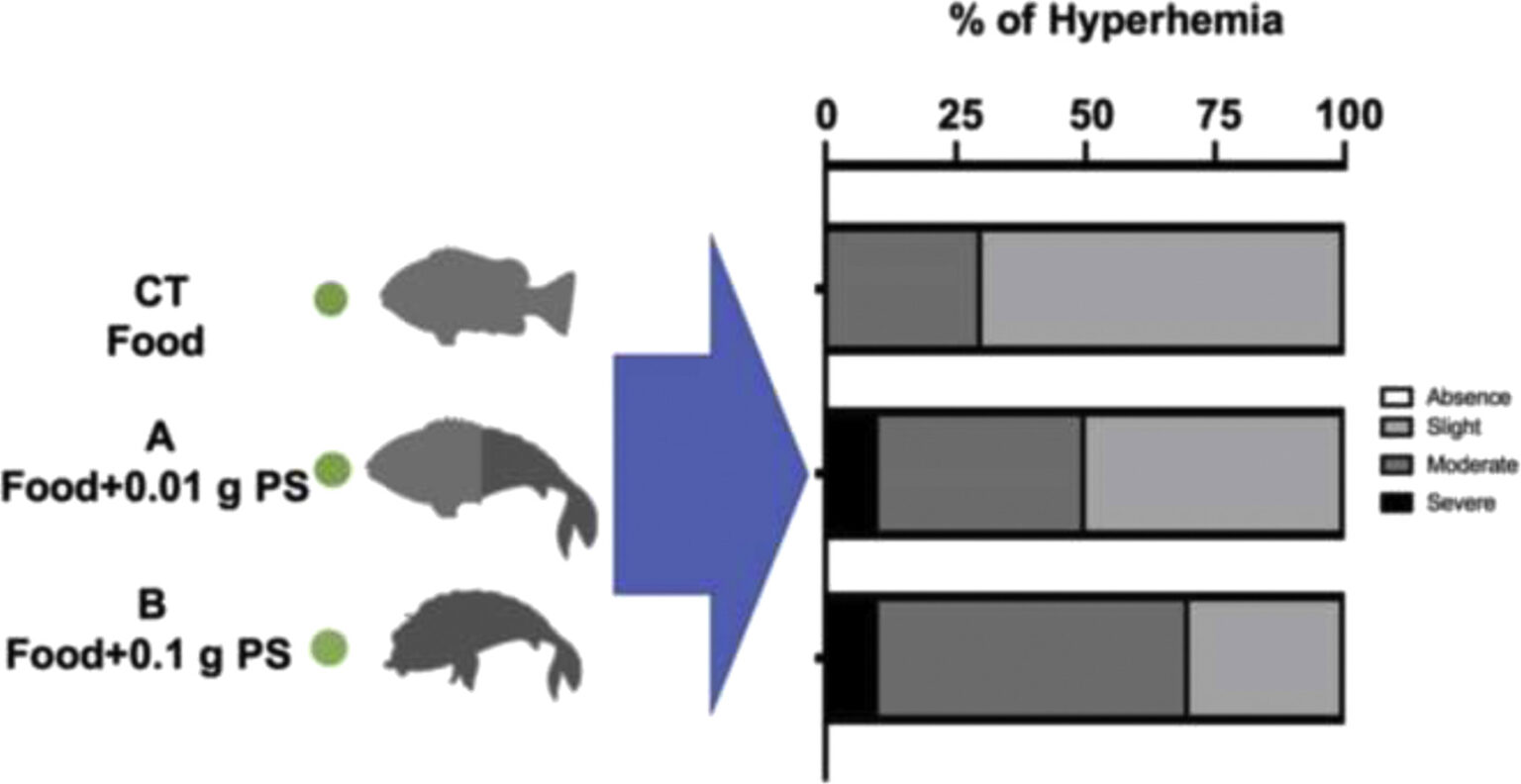 Microplastic ingestion cause intestinal lesions in the intertidal fish ...