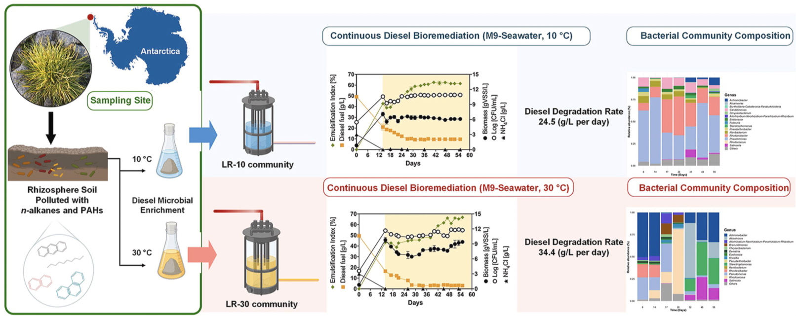 Continuous bioreactors enable high-level bioremediation of diesel ...